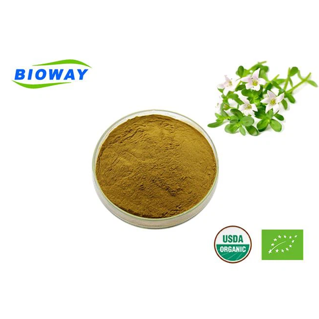 Bacopa Monnieri Extract Powder Suppliers, Manufacturers, Factory - Wholesale Quotation - BIOWAY