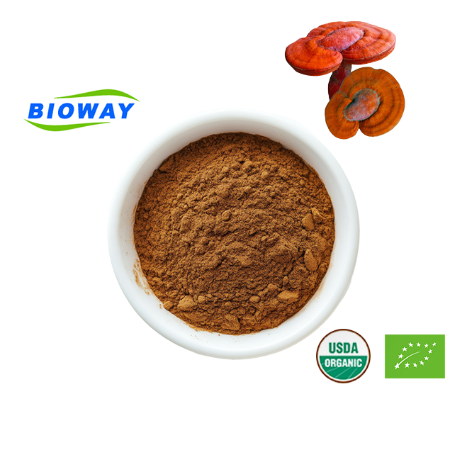 Organic Shell-Broken Reishi Spore Powder | Manufacturer Wholesale - BIOWAY