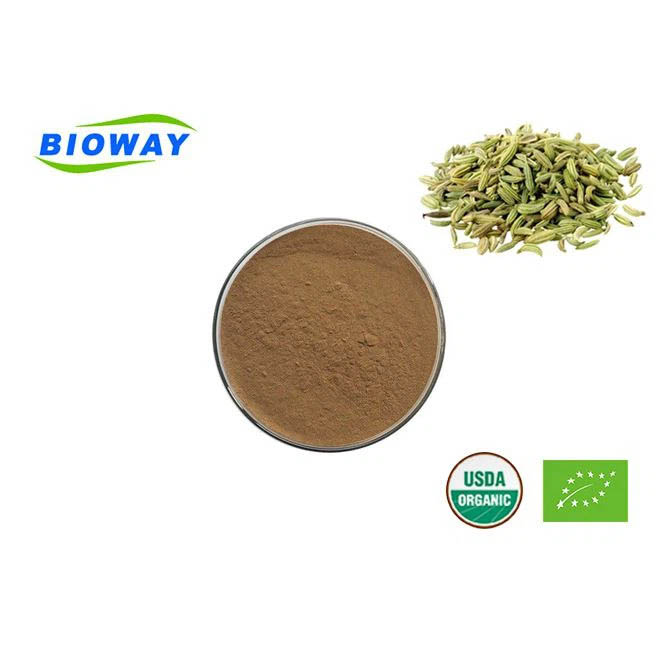 Whole Fennel Seeds Bulk Suppliers, Manufacturers, Factory - Wholesale ...