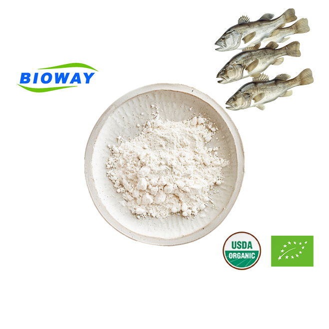 China Fish Oil Eicosapentaenoic Acid Powder Manufacturer Supplier ...
