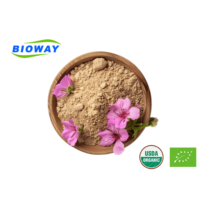 China Pelargonium Sidoides Root Extract Manufacturer - Wholesale ...