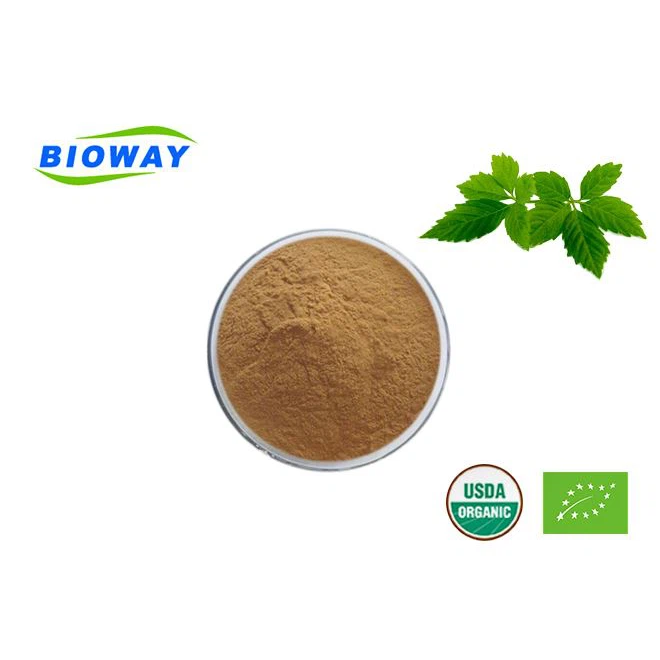 China Gynostemma Extract Gypenosides Powder Suppliers, Manufacturers, Factory - Wholesale ...