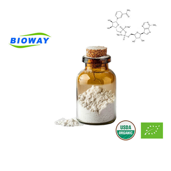 China β-Nicotinamideadenine dinucleotide reduced disodium salt ...