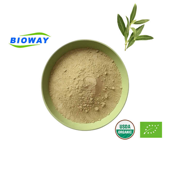 China Olive Leaf Extract Hydroxytyrosol Powder Manufacture Supplier ...
