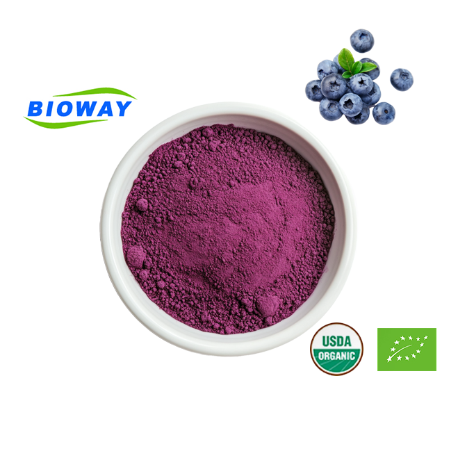 Wholesale Organic Blueberry Juice Powder | Custom Formulas | BIOWAY