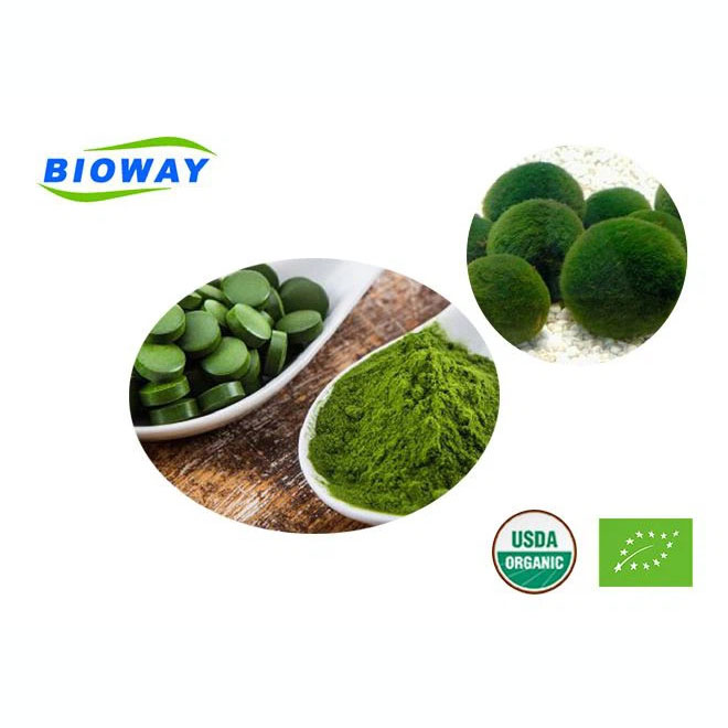 China Organic Chlorella Powder, Manufacturers, Factory - Wholesale ...