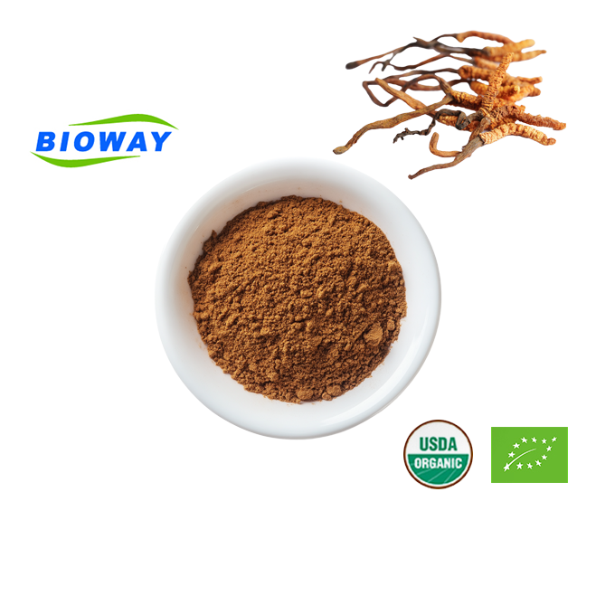 Organic Cordyceps Sinensis Mycelium Extract Powder - Wholesale ...