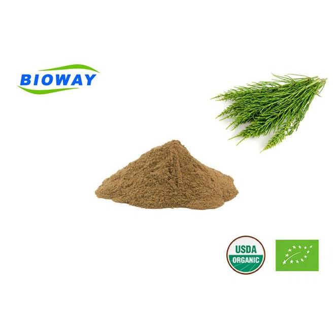 China Organic Horsetail Extract Suppliers, Manufacturers, Factory ...