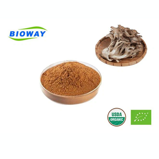 China Organic Maitake Mushroom Extract Powder, Manufacturers, Factory ...
