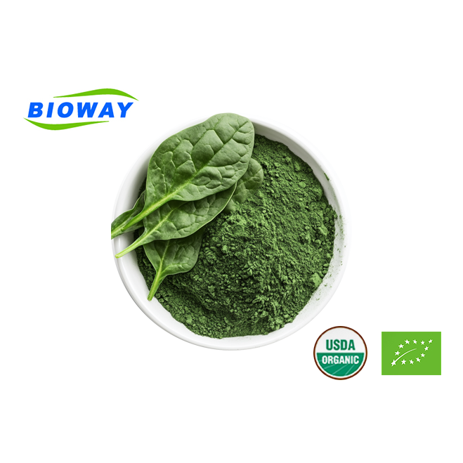 Bulk Organic Spinach Powder Supplier, Manufacturer, Factory - Wholesale ...