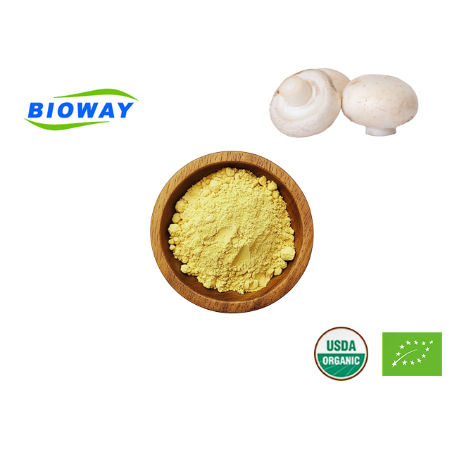 Organic White Button Mushroom Extract - Manufacturer Wholesale - BIOWAY