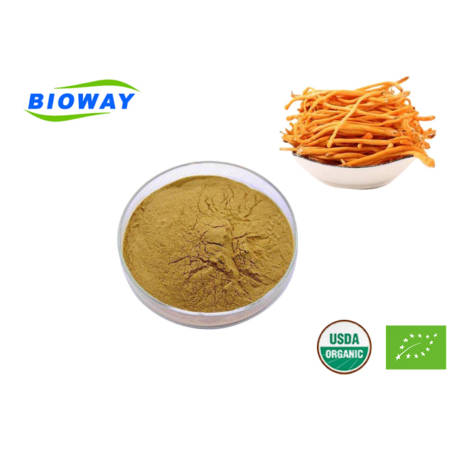 China Organic Cordyceps Militaris Extract Powder Suppliers ...