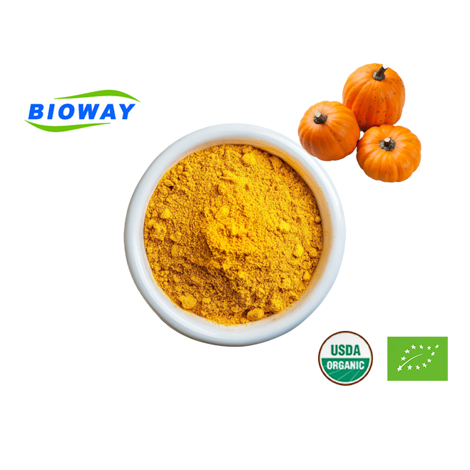 Organic Pumpkin Powder | Bulk Wholesale | BIOWAY
