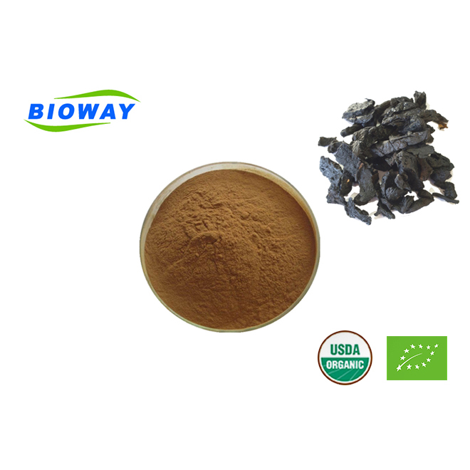 China Prepared Rehmannia Glutinosa Root Extract Suppliers ...