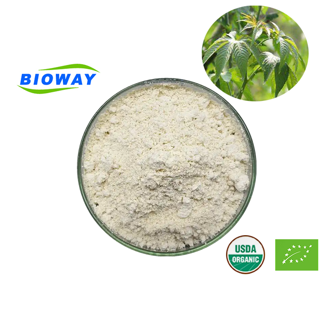 China Natural Rubusoside Powder Manufacture Supplier - Wholesale ...