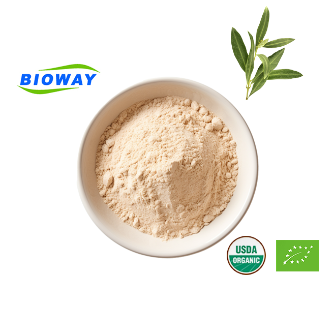 China Olive Leaf Extract Oleuropein Powder Manufacture Supplier ...