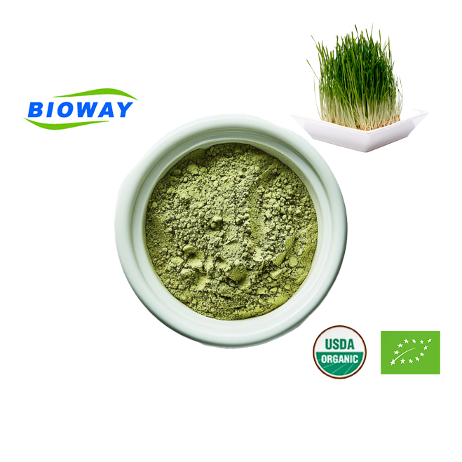 Bulk Organic Wheatgrass Powder Supplier, Manufacturer, Factory ...